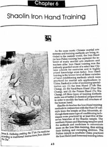 Iron palm – Secrets from the Temple | New Orleans Shaolin